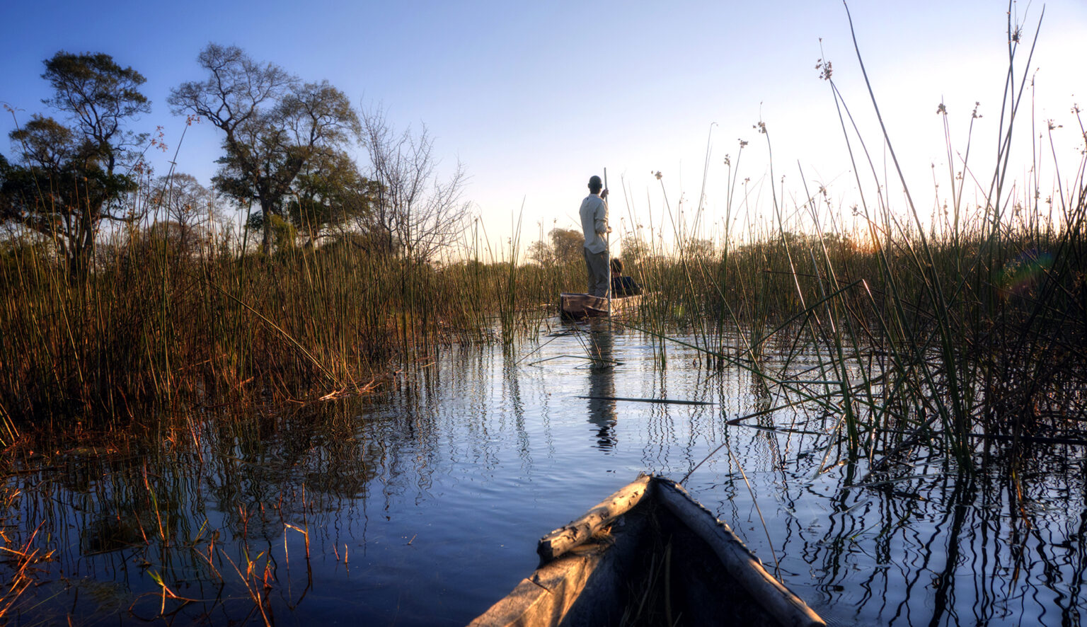 Africa Safari Tours, Guided Travel Packages - World Journeys