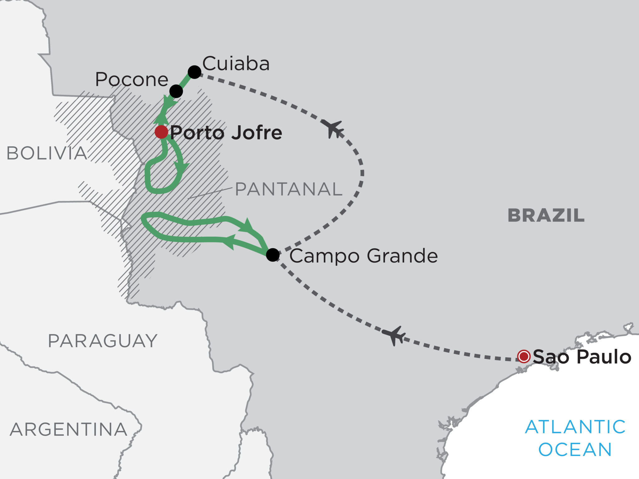 Untamed Pantanal - World Journeys New Zealand