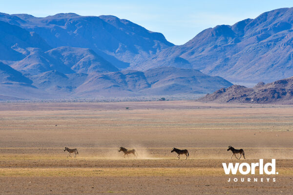 Gems of Namibia - World Journeys New Zealand