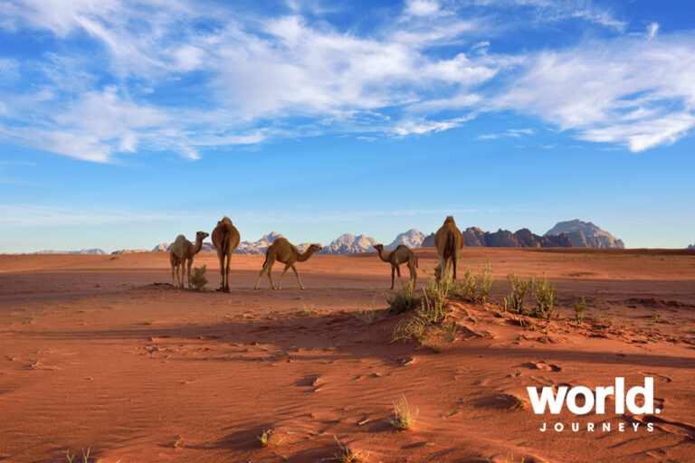 The History & Wildlife of Jordan - World Journeys New Zealand